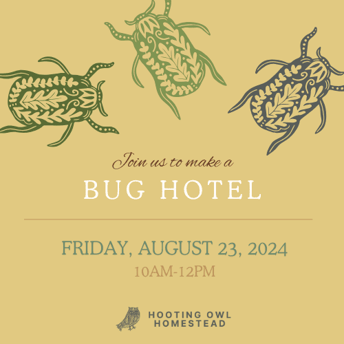 Bug Bonanza at Hooting Owl Homestead | Powell County Tourism