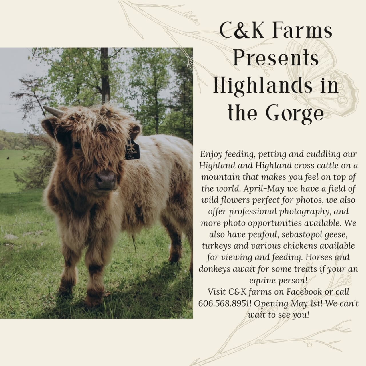C&K Farms – Highlands in the Gorge | Powell County Tourism